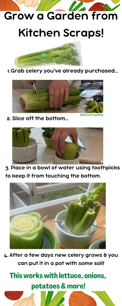Grow a Kitchen Scrap Garden! - Let Mommy Sleep Blog